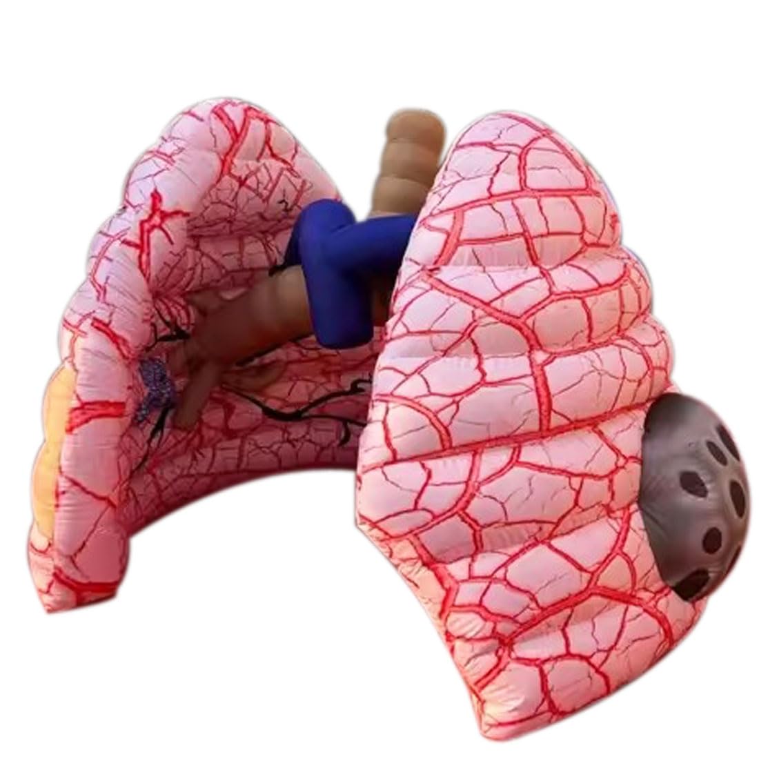 Snapklik.com : Giant Inflatable Lung Medical Exhibits Advertising Large ...