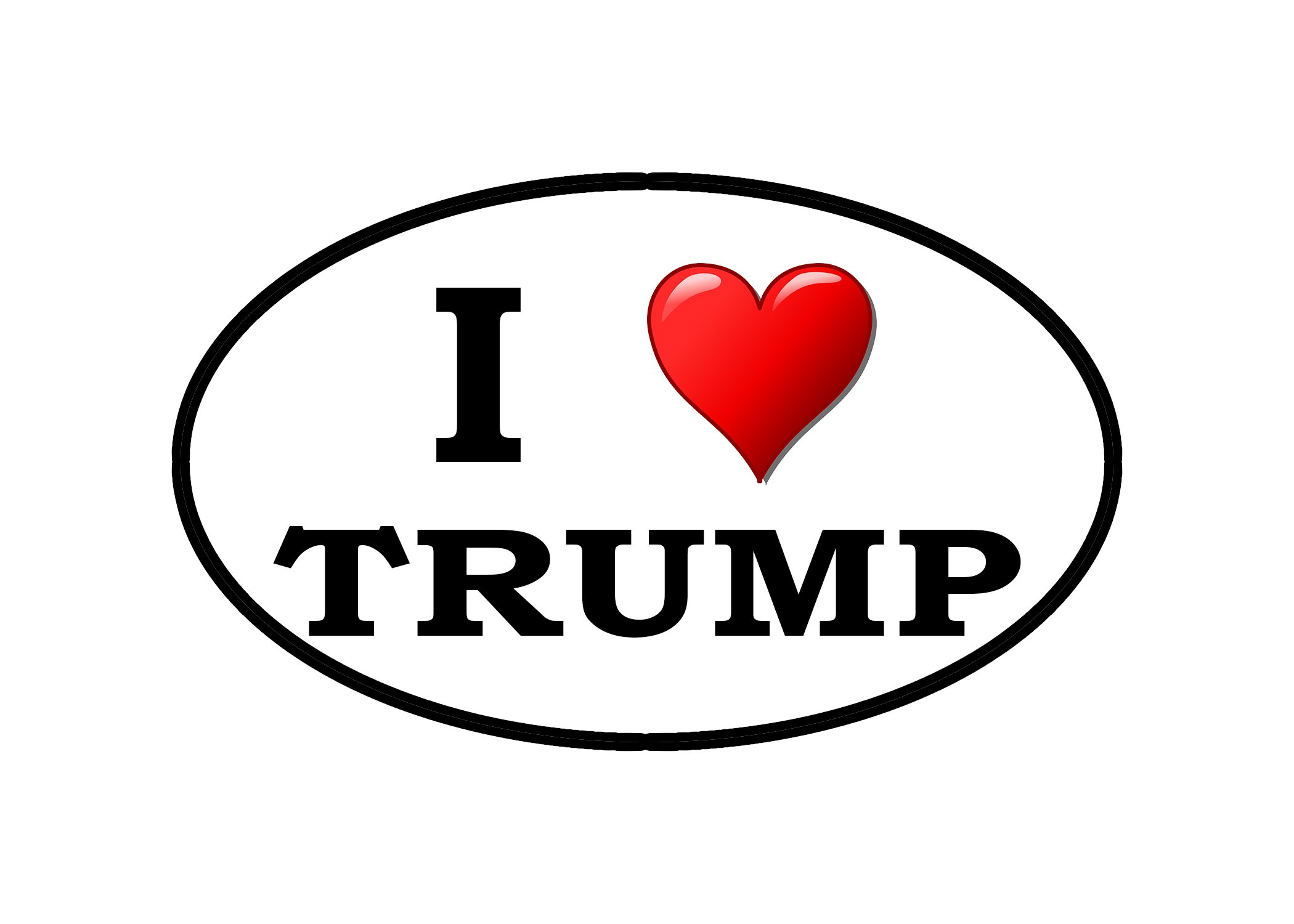 Amazon.com: Rogue River Tactical I Love Donald Trump Sticker Bumper ...