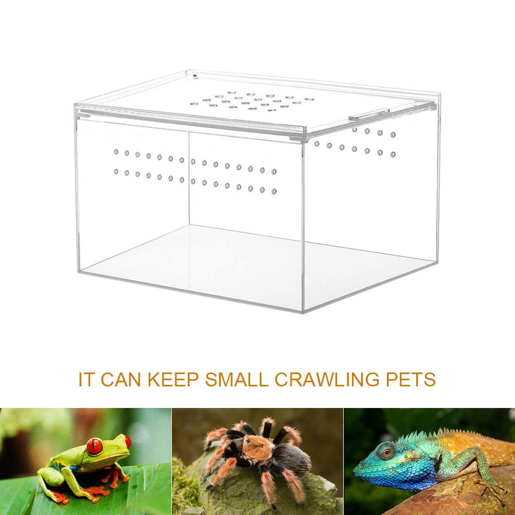 Buy NANEEZOO Acrylic Reptile Breeding Box, 5x4x3 Inch Nano Flat/Long ...