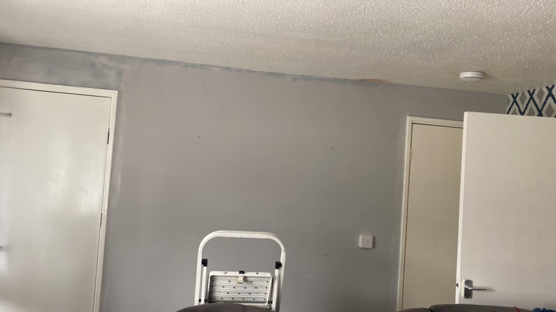 HQC One Coat Matt Emulsion Paint | 5L In 30+ Colours | For Walls and ...