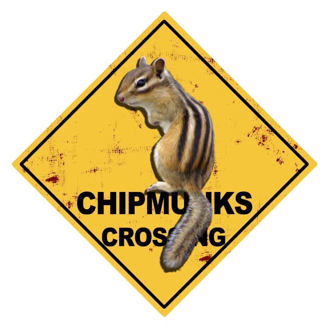 Buy YUNDUO Chipmunk Crossing Metal Sign Caution Danger Hunter Safety ...