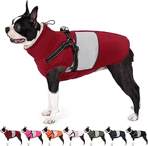 Amazon.com : AOFITEE Small Dog Coat, Dog Winter Coat with Harness Built in, Warm Dogs Jacket ...