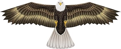 Amazon.com: X Kites BirdsOfPrey® Eagle Nylon Bird Kite, 49 Inches Wide ...