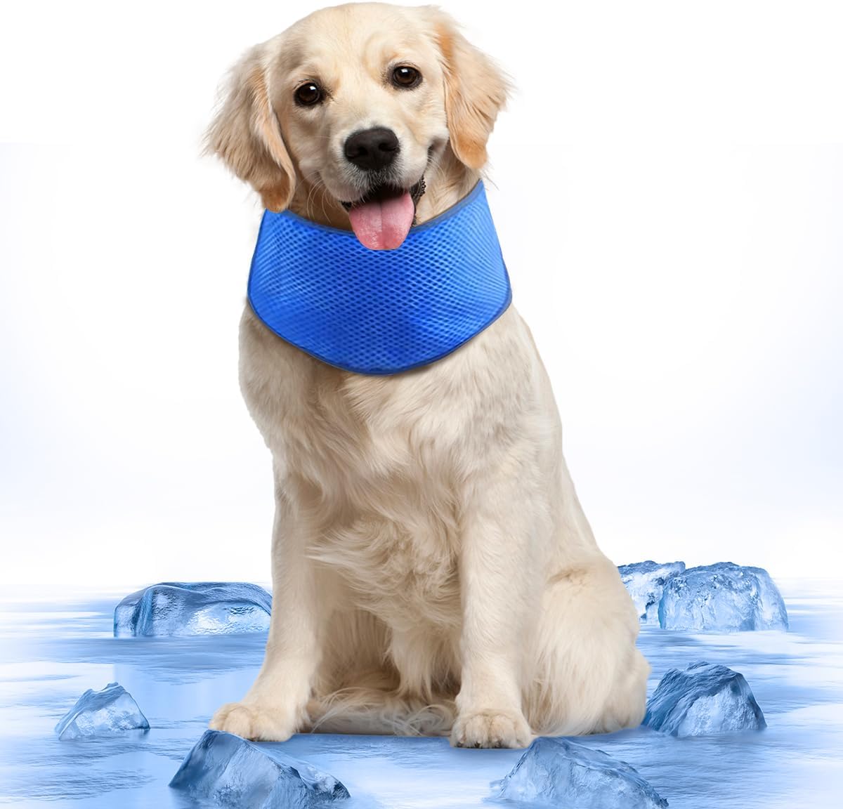 Amazon.com : ALL FOR PAWS Chill Out Dog Ice Bandana, Instant Cooling ...