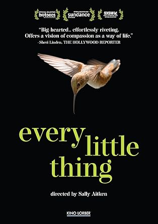 Amazon.com: Every Little Thing [DVD] : Sally Aitken, Terry Masear ...