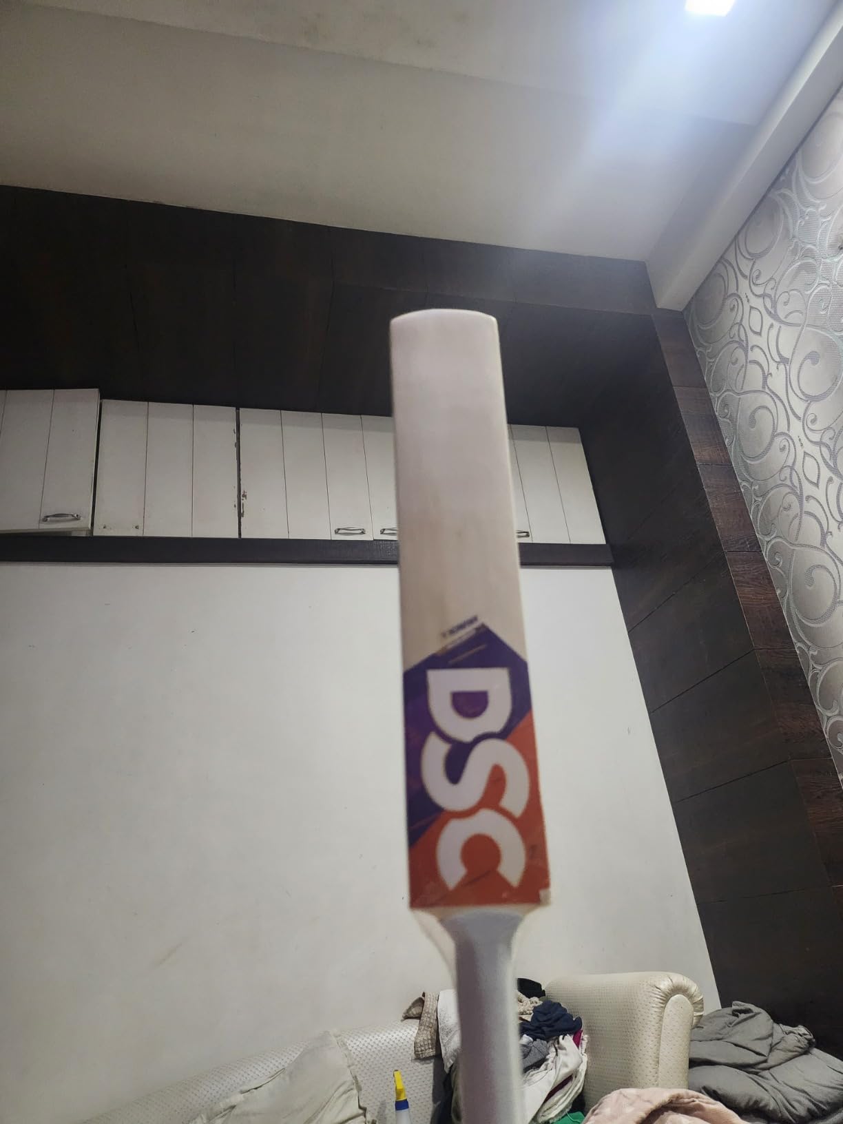 Buy DSC Wood David Warner Signature Cricket Mini Bat, (15-Inch) Online ...