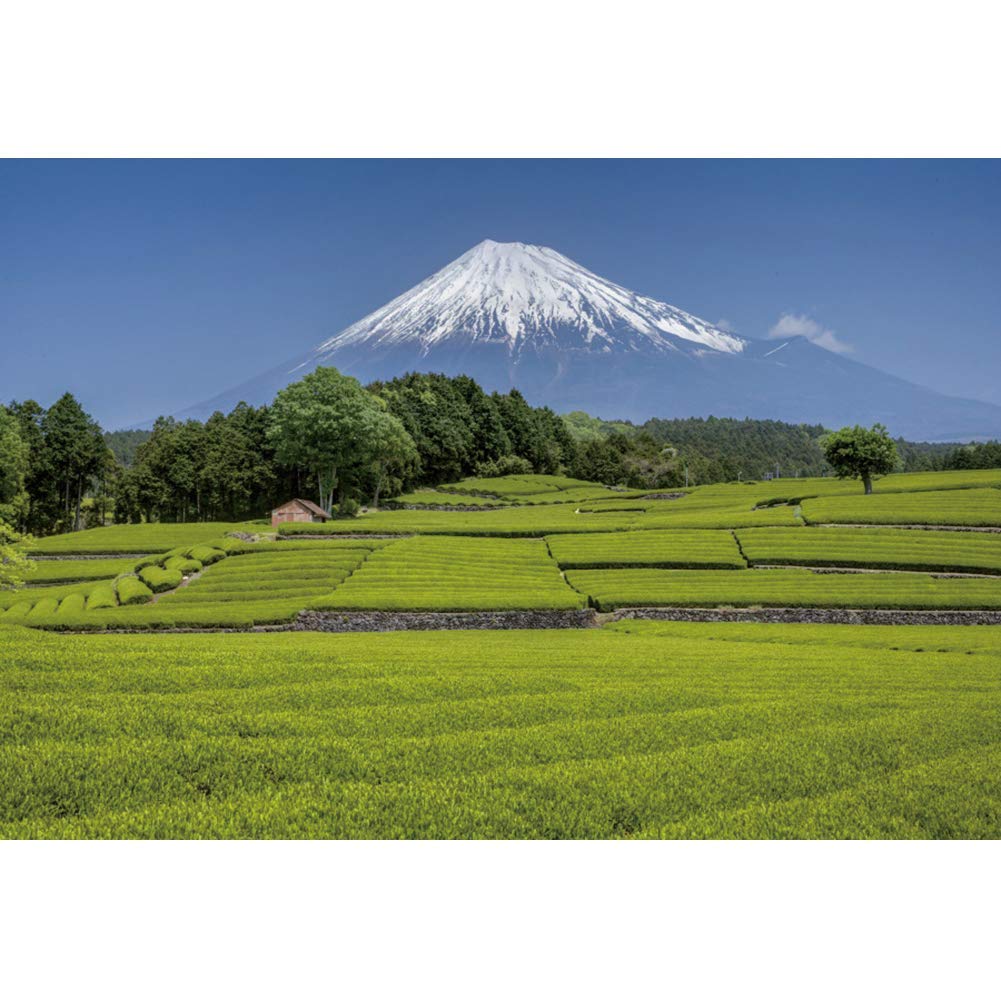 Buy MMPTn 6x4ft Japan Fuji Backdrop The Symbol of Japan Volcano Spring ...