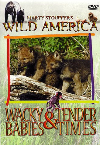 Amazon.com: Wacky Babies/Tender Times : Wacky Babies & Tender Times ...