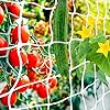 Amazon.com : 6x15FT Plant Trellis Netting,Heavy-Duty Garden Grow Net Polyester Square Mesh Nets ...
