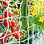 Amazon.com : 6x15FT Plant Trellis Netting,Heavy-Duty Garden Grow Net Polyester Square Mesh Nets ...