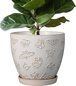 Amazon.com : EPFamily Ceramic Planter Pot 10 Inch- Large Plant Pot with ...