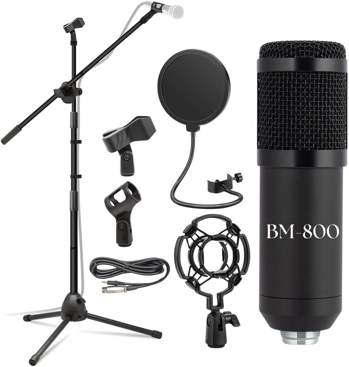 Professional & Studio Condenser Microphone Set for Singing & Recording ...