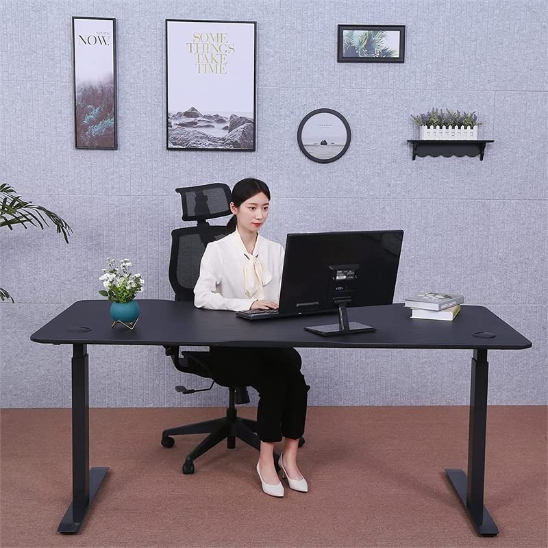 Top Best Manual Crank Height Adjustable Standing Desks | atelier-yuwa.ciao.jp