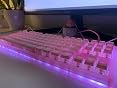 Amazon.com: Akko 3087 Sakura Jelly Mechanical Keyboard with Cherry Red ...