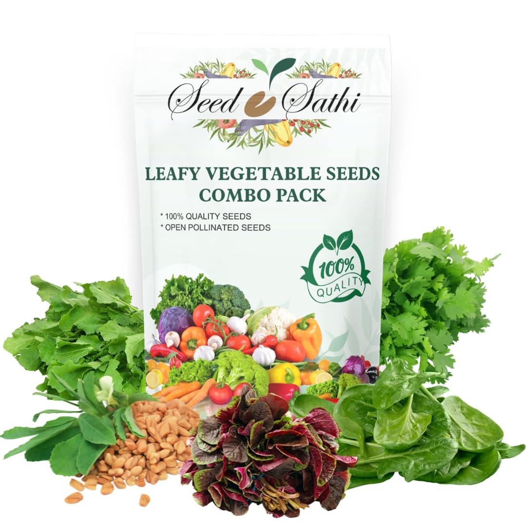 Seed Sathi Leafy Vegetables Seeds Combo Pack for Home Gardening Winter ...