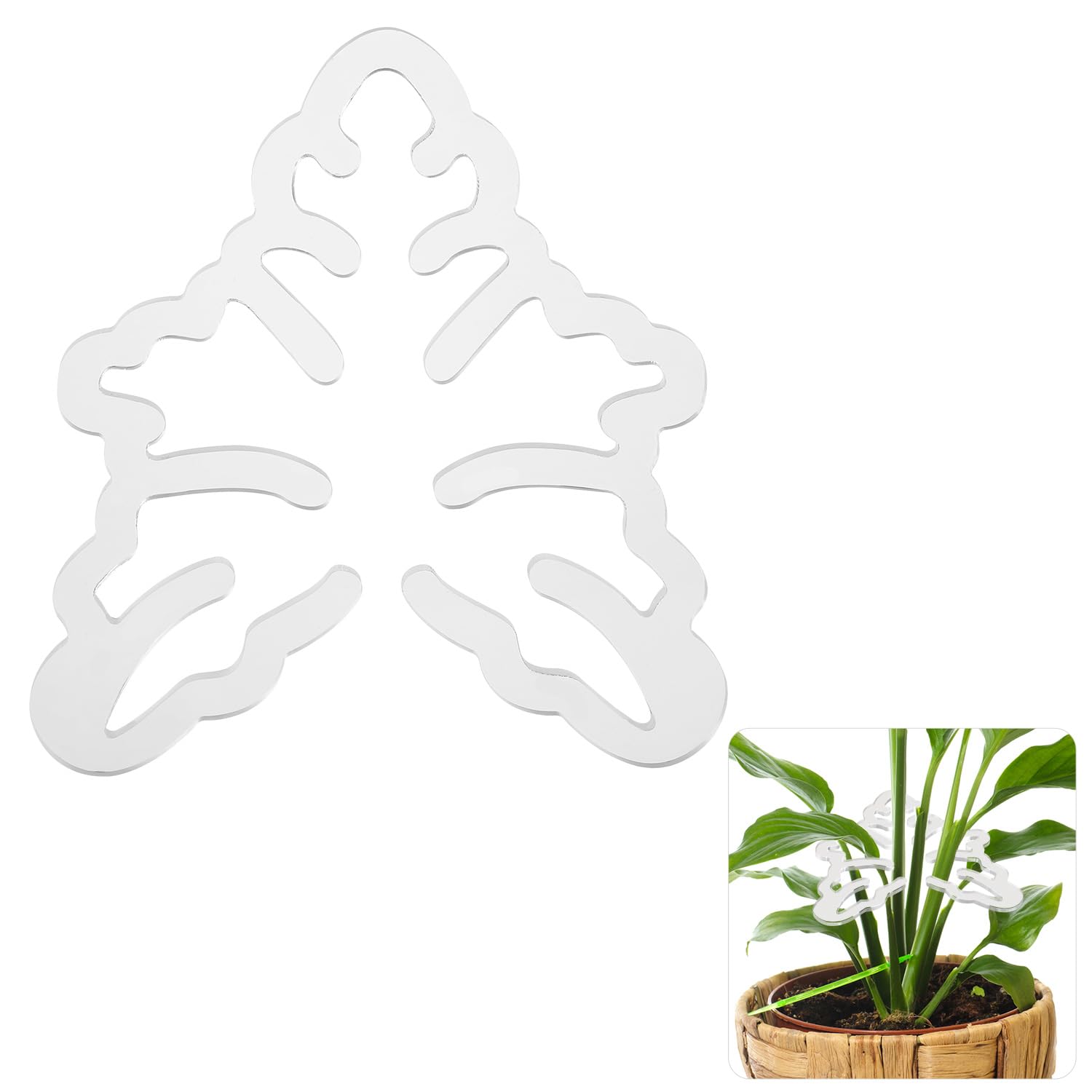 Amazon.com : Monstera Grapple, Transparent Monstera Grapple Plant Stem ...