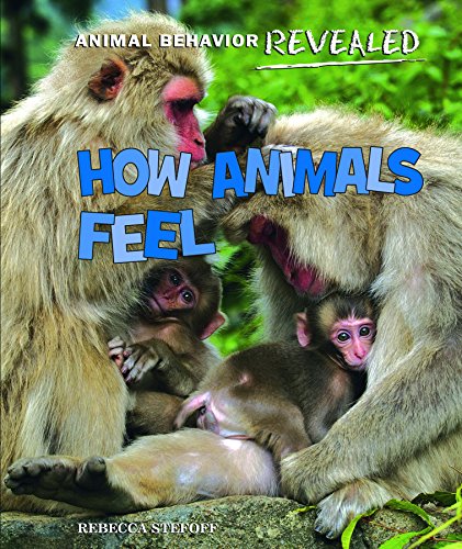 How Animals Feel : Buy Online at Best Price in KSA - Souq is now Amazon ...