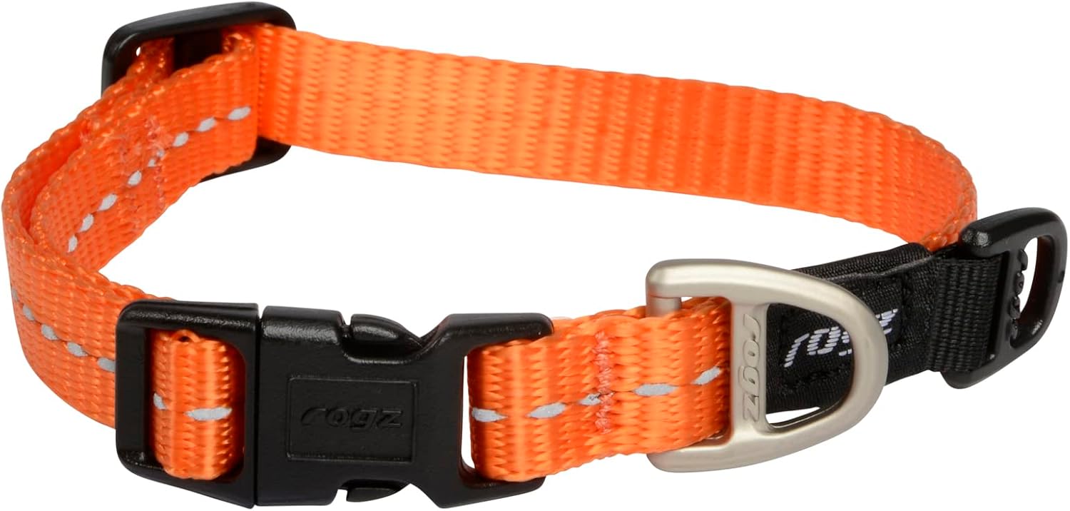 Amazon.com : Rogz Utility Small 3/8-Inch Reflective Nitelife Dog Collar ...