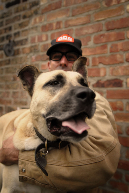 Amazon.in: Adam Kline: books, biography, latest update