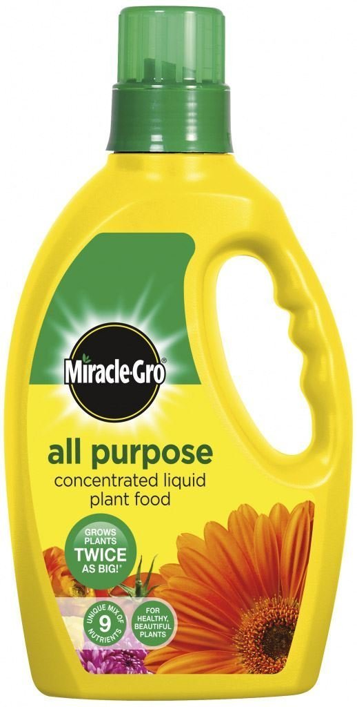 Miracle Gro All Purpose Concentrated Liquid Plant Food 1L : Amazon.co ...