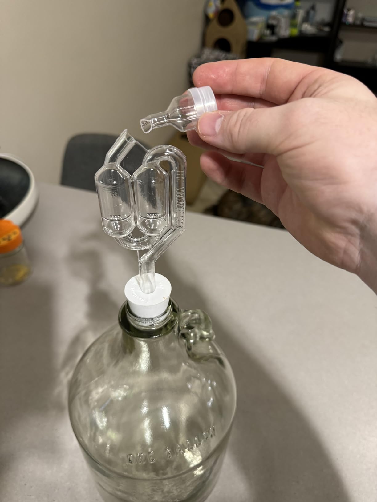 FastRack Glass Wine Fermenter Includes Airlock, 1 Gallon Capacity ...