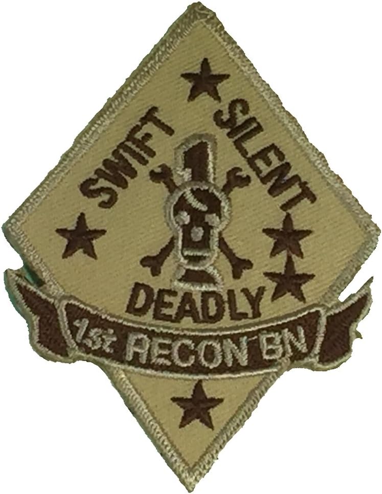 Amazon.com: 1ST Recon Battalion Unit Patch - Desert/Tan - Veteran Owned ...