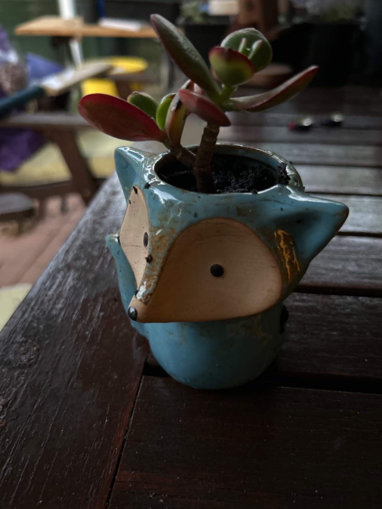 4 Pack Fox Shape Flower Pot Succulent Plant Pots,Mini 3.5in Cartoon ...