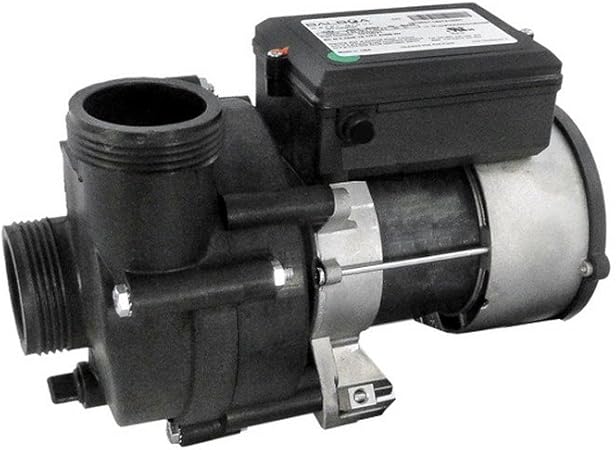 Amazon.com : Balboa Water VIC1070021 0.25HP 230V Circ Pump 10 Frame ...