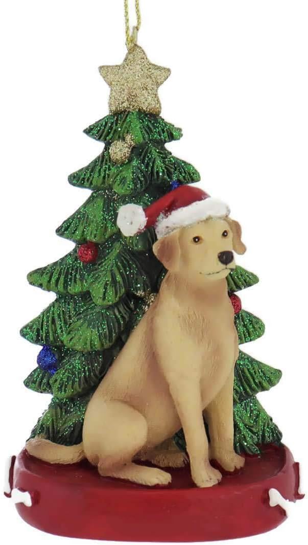Amazon.com: Kurt S. Adler Yellow Lab Labrador Wearing Santa Hat with ...