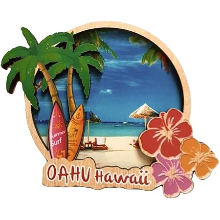 Amazon.com: Hawaiian Art Collectible Refrigerator Magnet - Aloha Hawaii ...