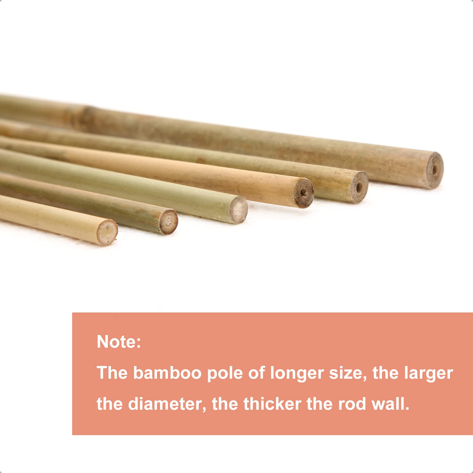 Snapklik.com : Bamboo Stakes 6FT Garden Stakes Plant Stakes For Outdoor ...