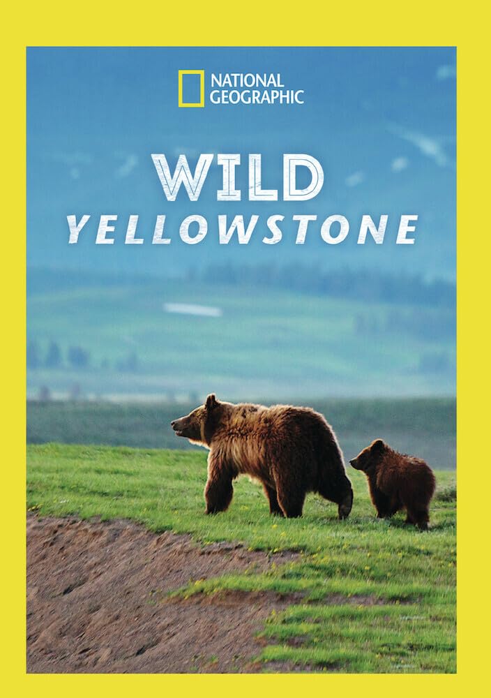 Amazon.com: Wild Yellowstone : National Geographic: Movies & TV