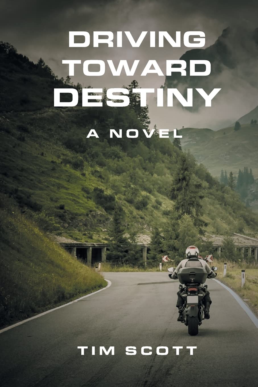 Driving Toward Destiny: Scott, Tim: 9781643147710: Amazon.com: Books