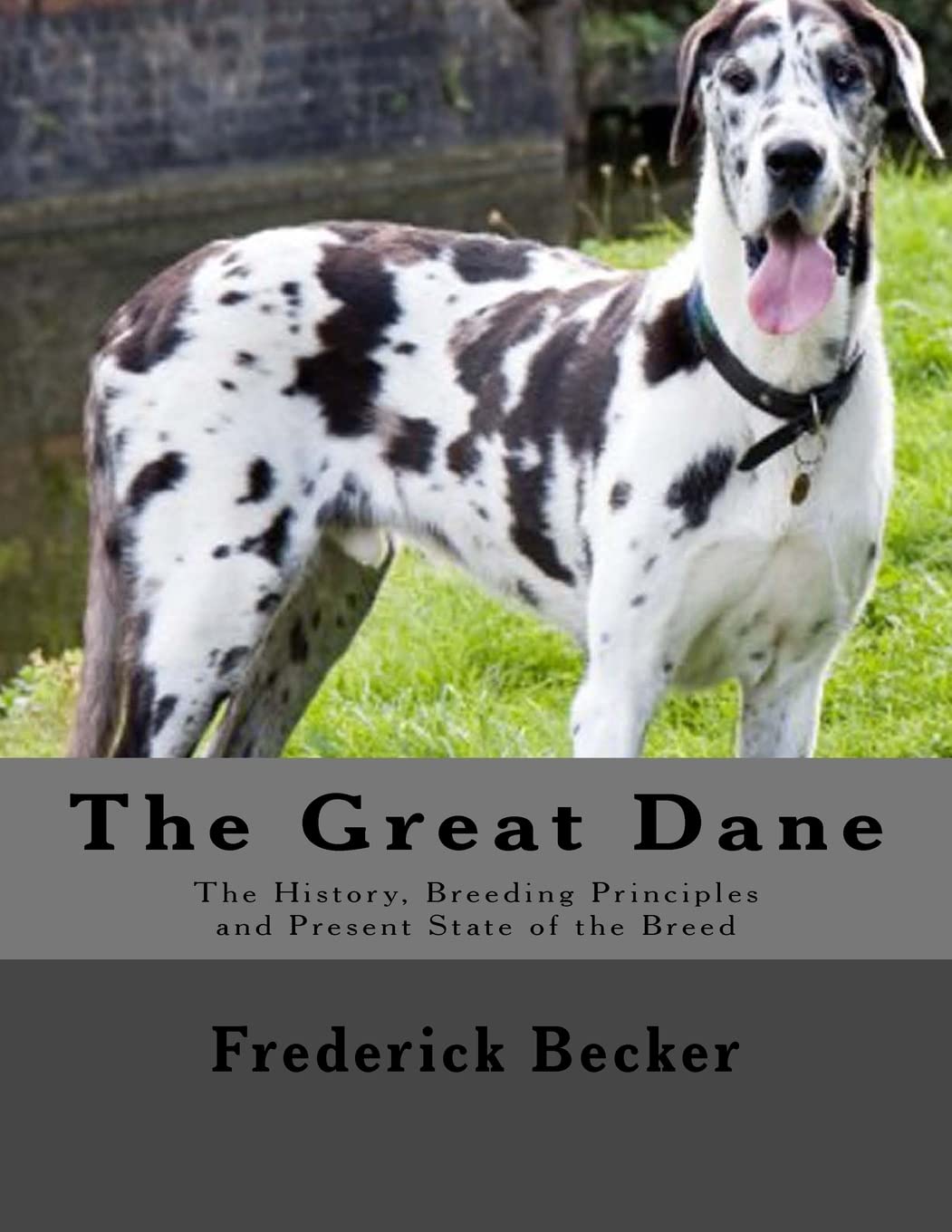 The Great Dane: The History, Breeding Principles and Present State of ...