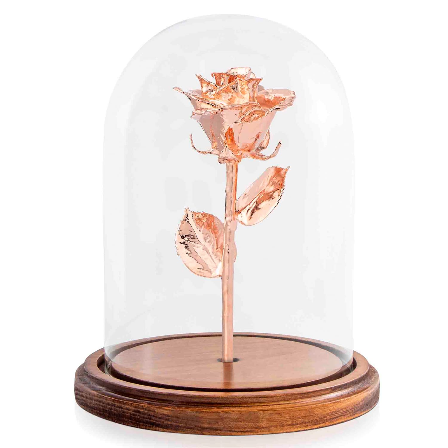 Amazon.com: Enchanted Forever Rose | Preserved with Real Gold Dipped ...