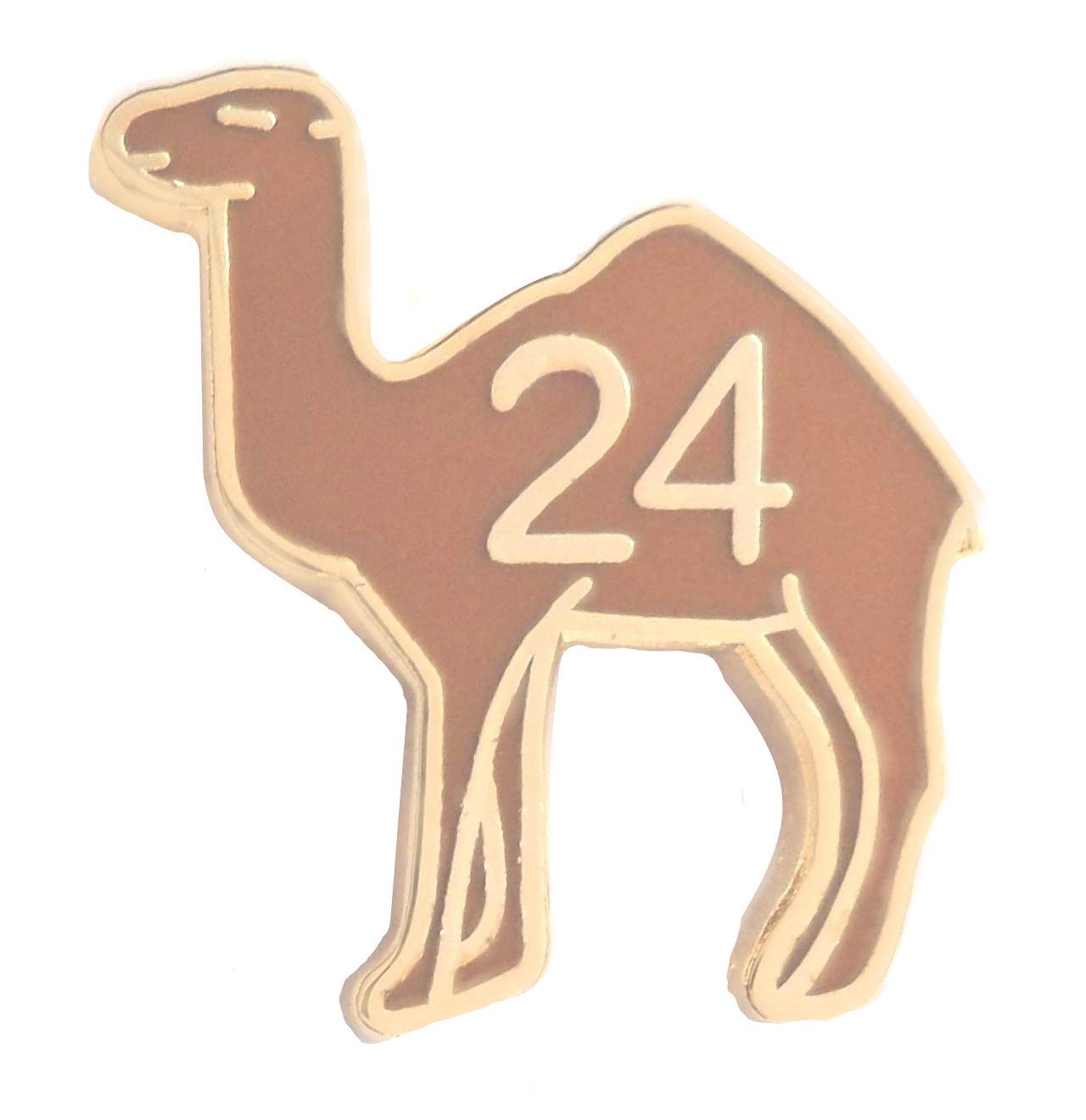 Amazon.com: 1000 Flags Limited Alcoholics Anonymous Al-Anon AA 24 Hours ...