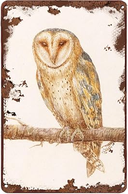 Amazon.com: ZMKDLL Mallard Ducks Birds Animal Metal Tin Sign Man Cave ...