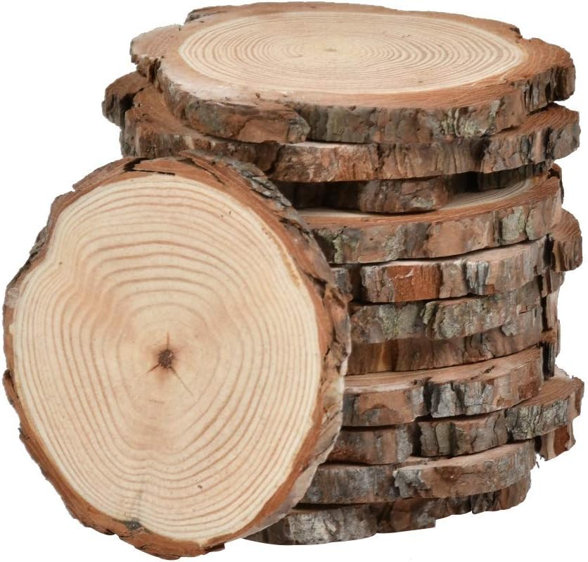 WOWOSS 12Pcs Large Wood Slices for Craft Natural Unfinished Wooden ...