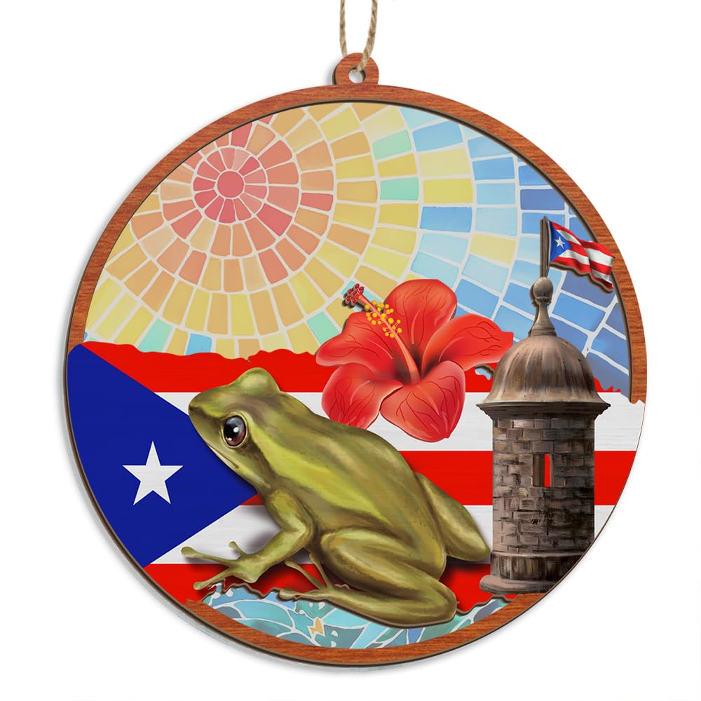 Amazon.com: FLAGWIX Puerto Rico Home Decor, Christmas Ornaments ...