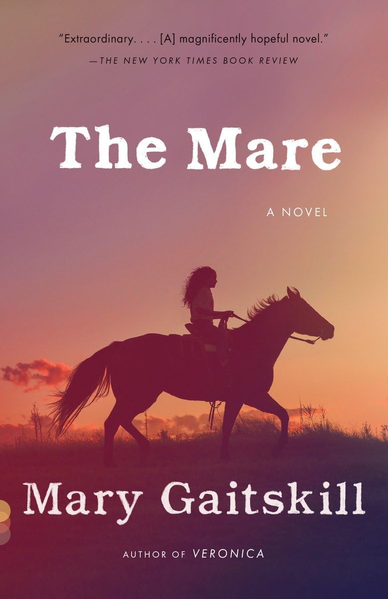 The Mare: A Novel (Vintage Contemporaries): Gaitskill, Mary ...