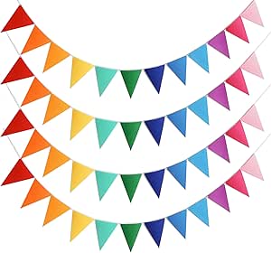 Amazon.com: AULEGE 4 Strings 48PCS Rainbow Pennant Banner Flags ...