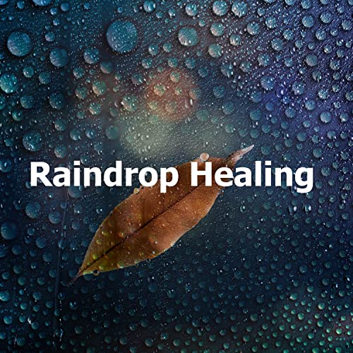 Raindrop Healing de Raindrops for Calming Dogs no Amazon Music Unlimited