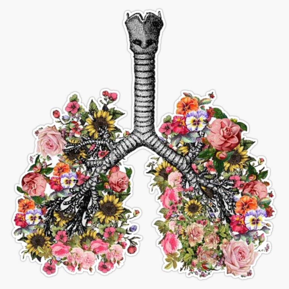 Amazon.com - Lungs - Colours Vinyl Waterproof Sticker Decal Car Laptop ...