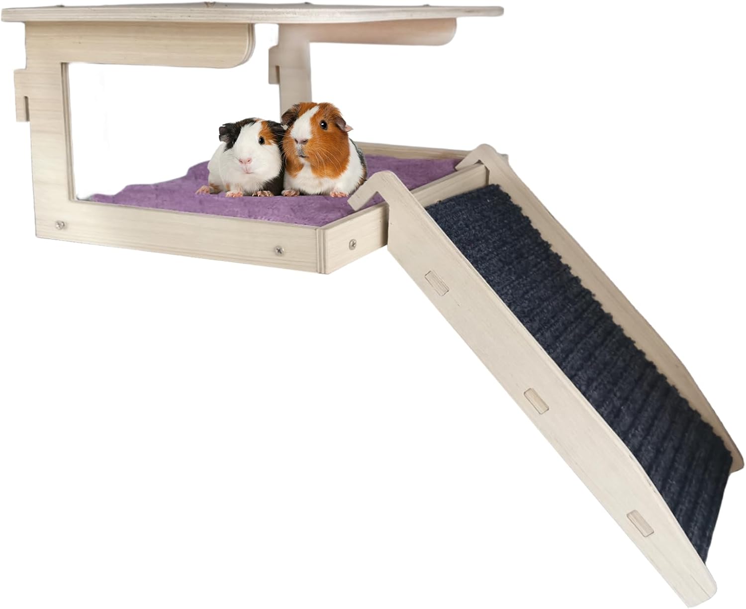 Amazon.com : Tfwadmx Guinea Pig Hideout Wood Small Animal Sleeping Hut ...