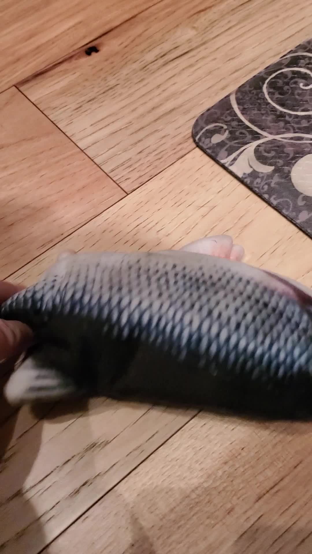 Watch Floppy fish died on Amazon Live
