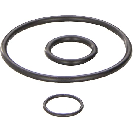 Amazon.com: GM Genuine Parts 12580255 Engine Oil Filter Housing Seal (O ...
