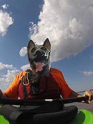 Amazon.com: Dog Head Mask Halloween Party Dog Costume Masks Mask Super ...