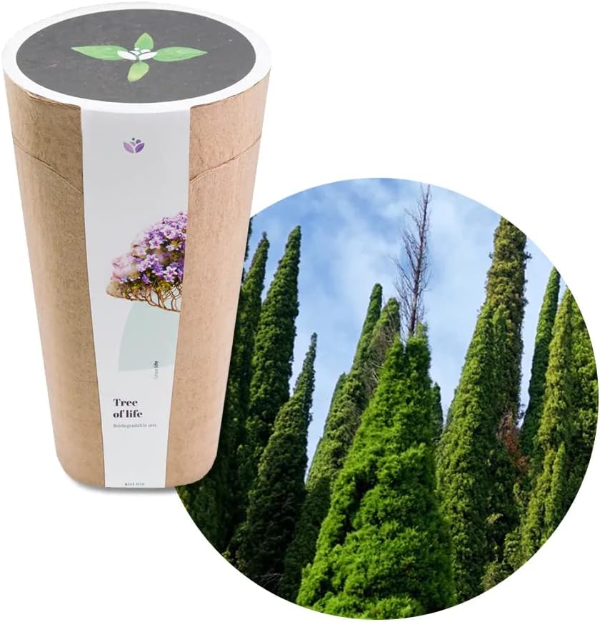 Amazon.com: Tree Urn - Biodegradable urn to Tree - Cremation Ashes Urn ...