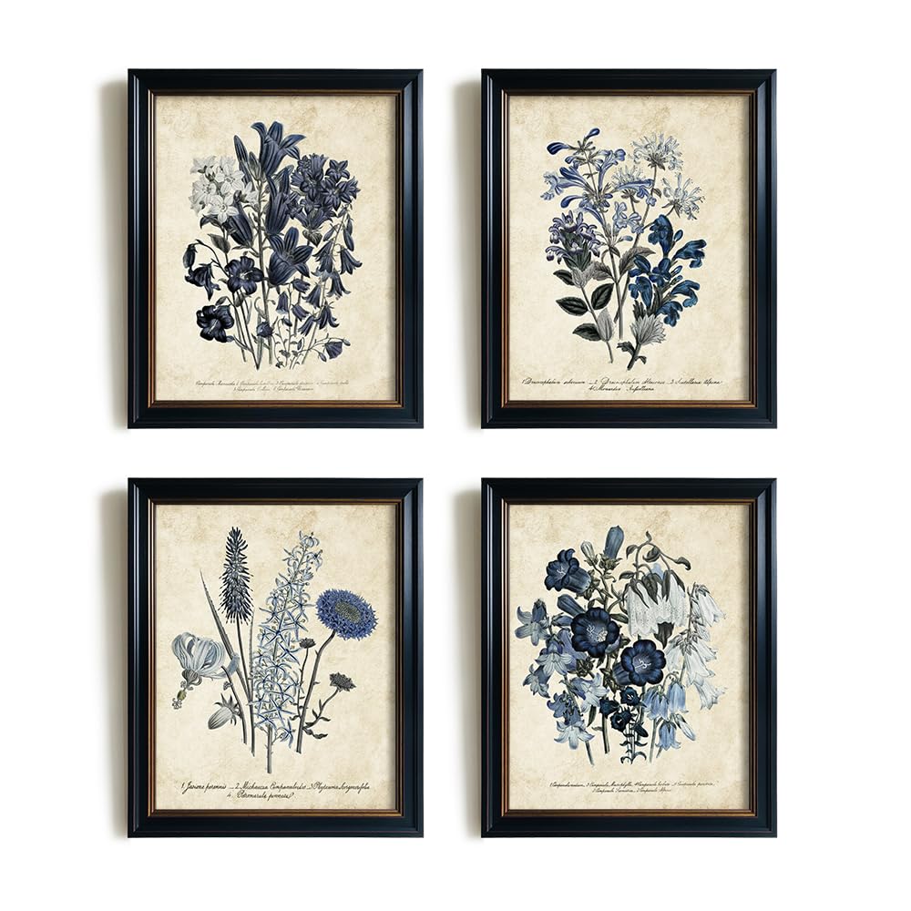 Amazon.com: Primitive Blue Magnolia Leaves Pictures Gallery Gift ...