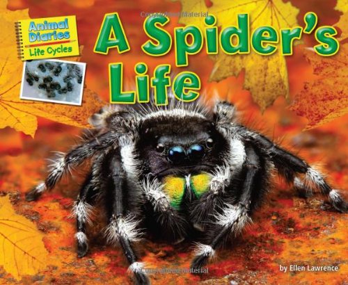 A Spider's Life (Science Slam: Animal Diaries: Life Cycles): Lawrence ...